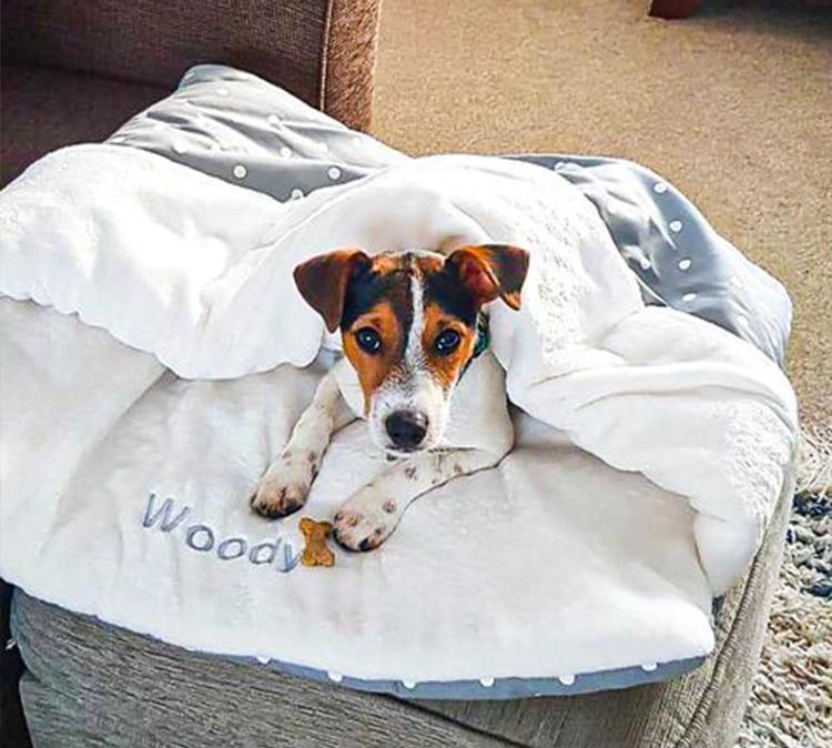 Snuggle Sacks – Smoozle and Bone