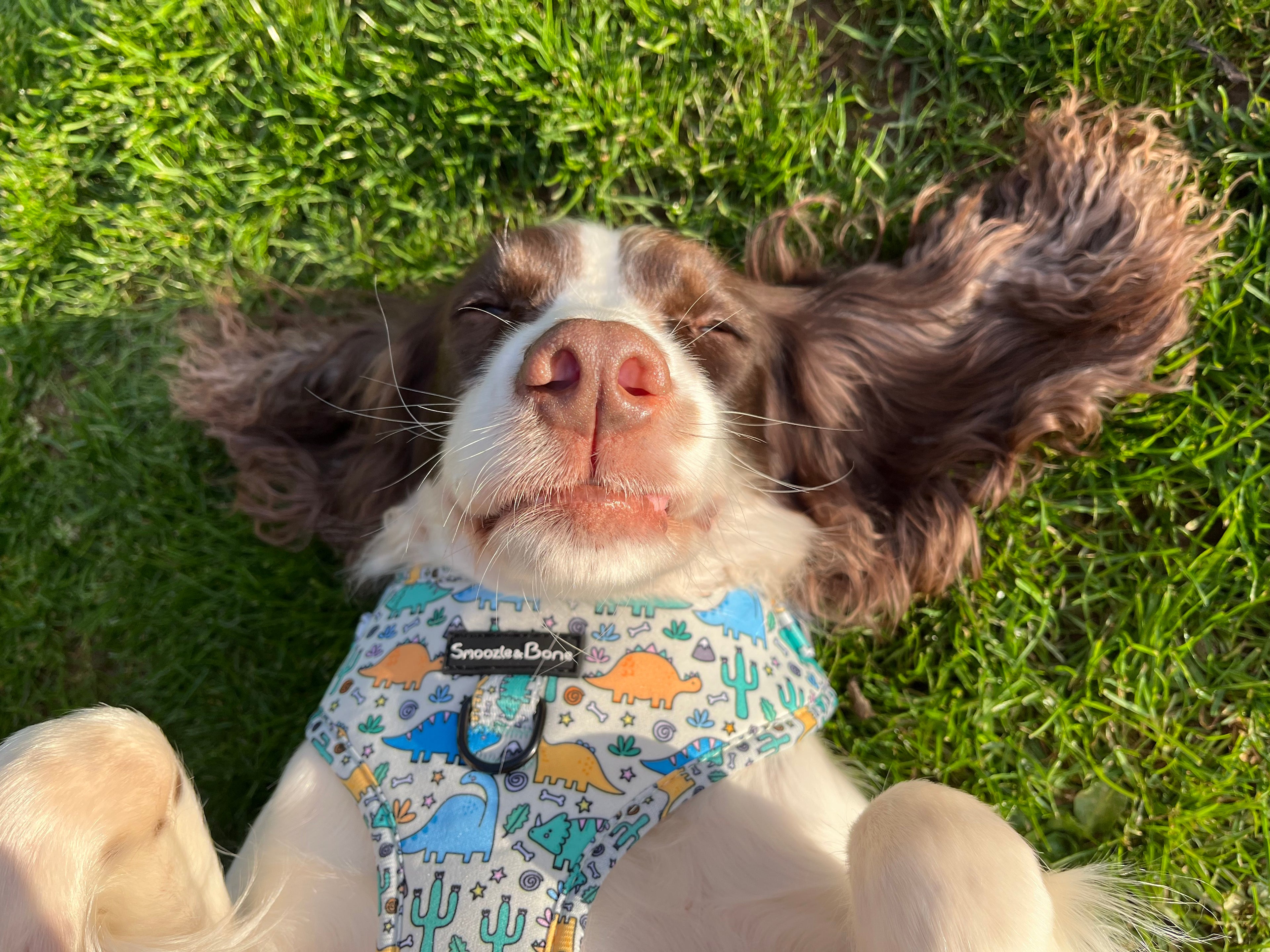 Smoozle & Bone – Smoozle and Bone