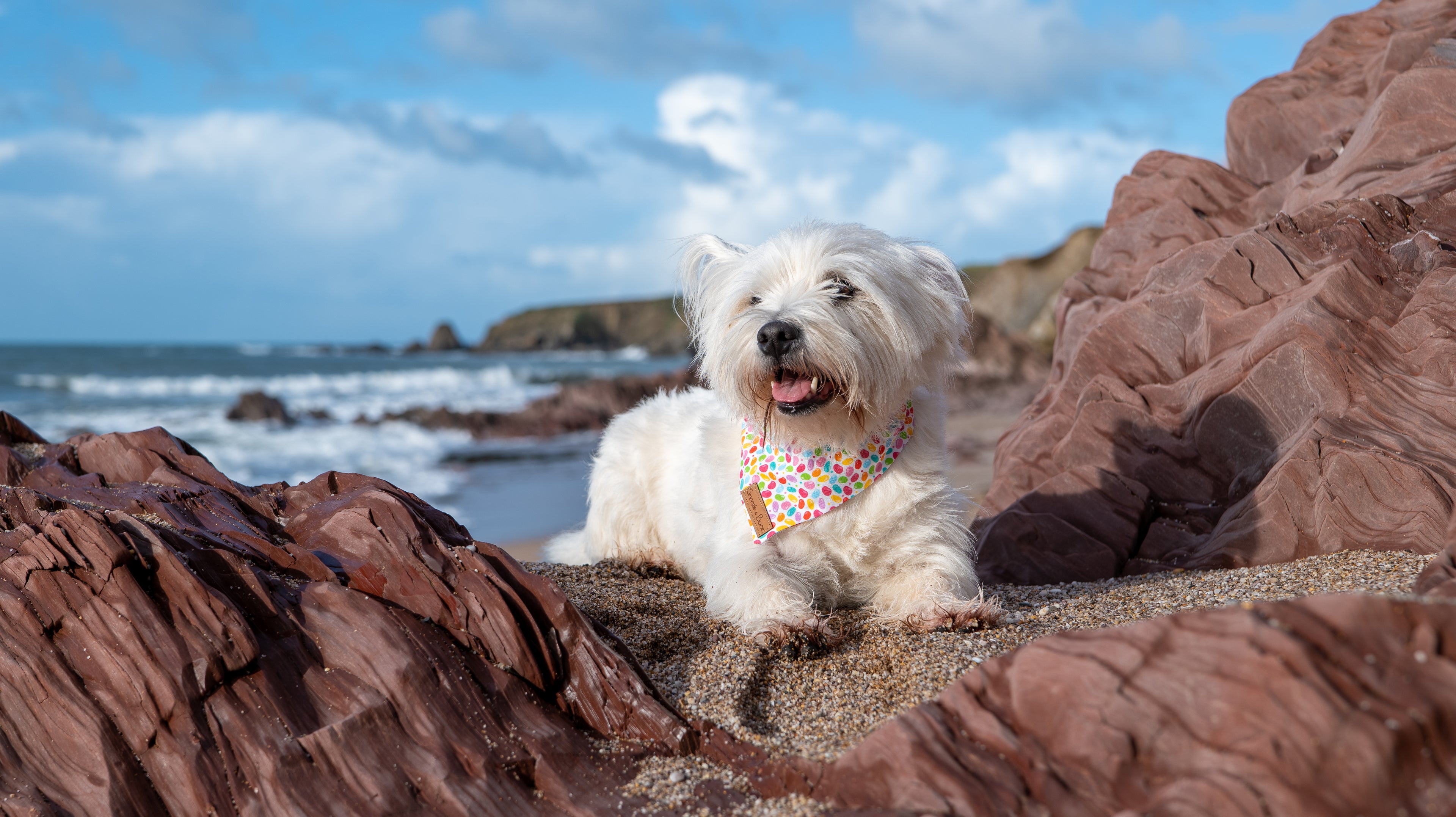 Smoozle & Bone – Smoozle and Bone